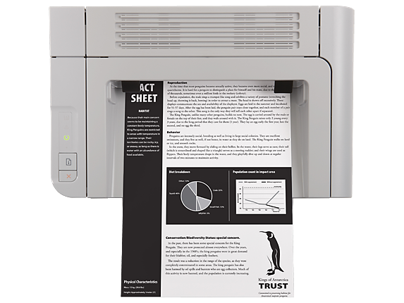 HP LaserJet Pro P1566 Printer(CE663A)| HP® Australia